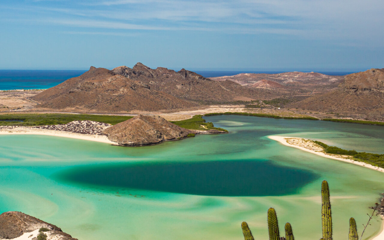 Surprise Box - Fauna and Flora in Mexico | Terra Maya, local travel ...