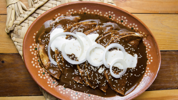 Cacao Mexicano: a sensory experience to the land of chocolate | Terra ...