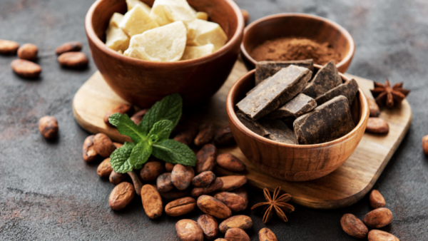 Cacao Mexicano: a sensory experience to the land of chocolate | Terra ...
