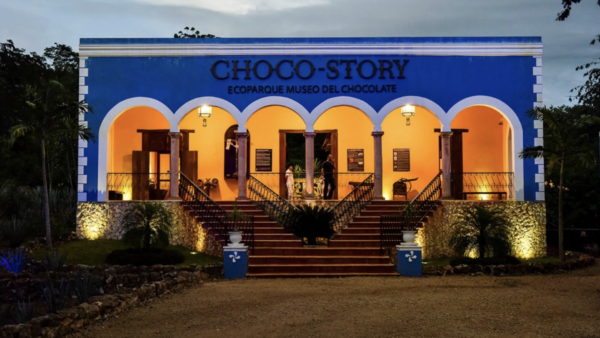 Cacao Mexicano: a sensory experience to the land of chocolate | Terra ...