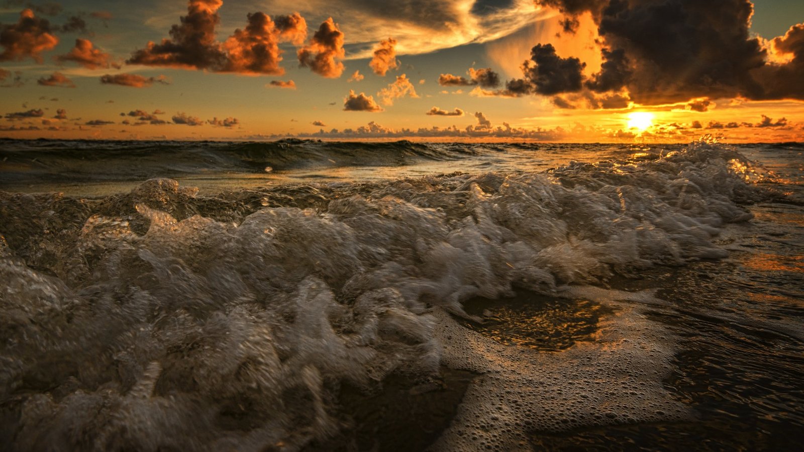 Gulf of Mexico, Veracruz & the Mexican Atlantic Coast | Terra Maya