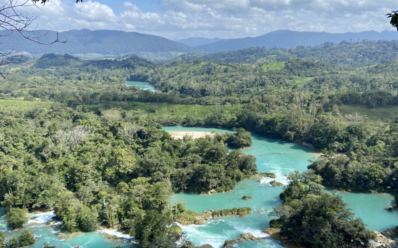 Discovering Chiapas : Nature and fauna & flora | Terra Maya, local ...